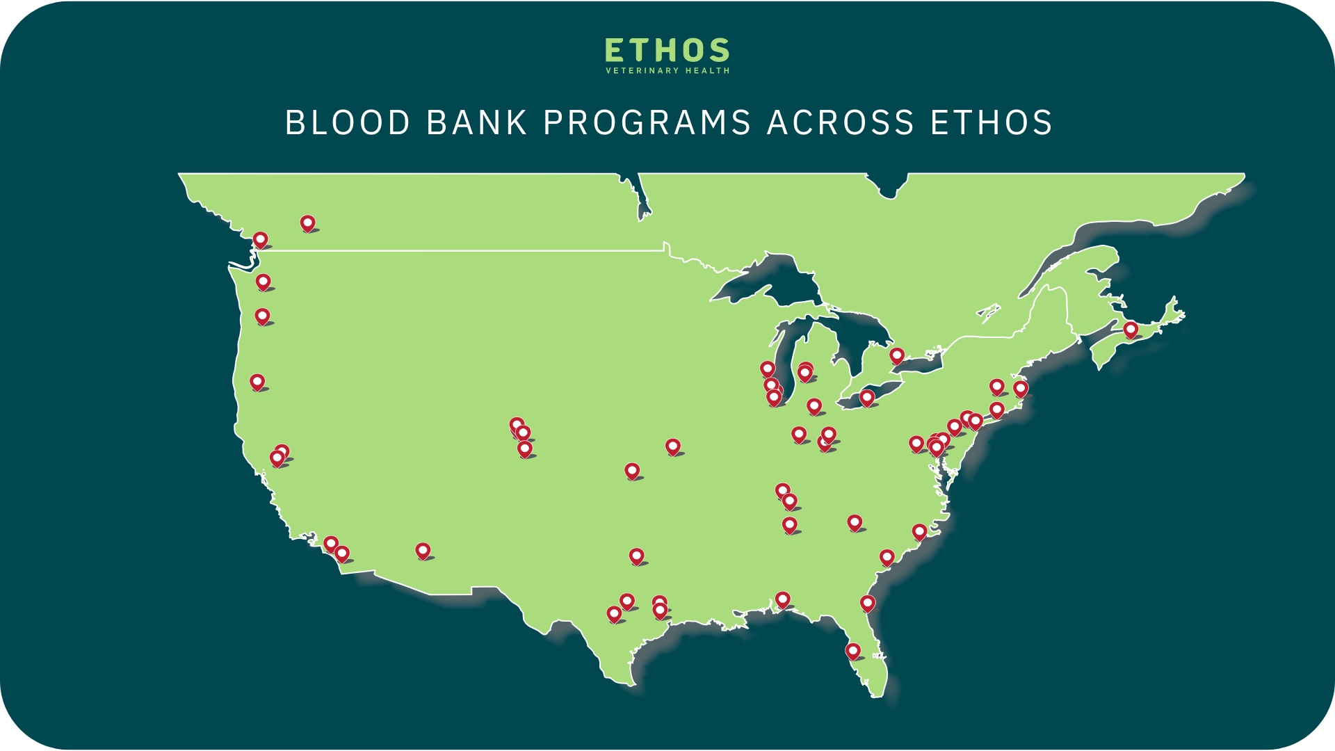 Blood Bank Programs - Ethos Veterinary Health