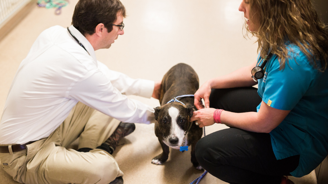 Reimagining Board Certification: How Ethos is Shaping a New Era in ...