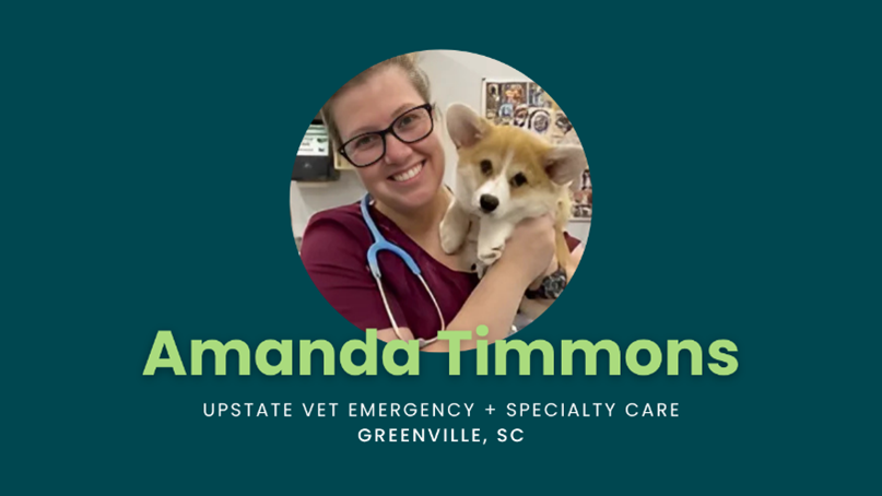 How Ethos is Growing the Next Generation of Veterinary Technicians - Ethos Veterinary Health