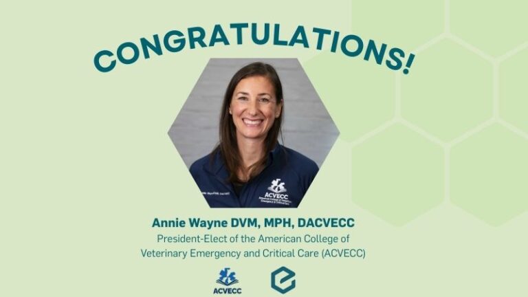 Dr. Annie Wayne Named ACVECC President-Elect - Ethos Veterinary Health