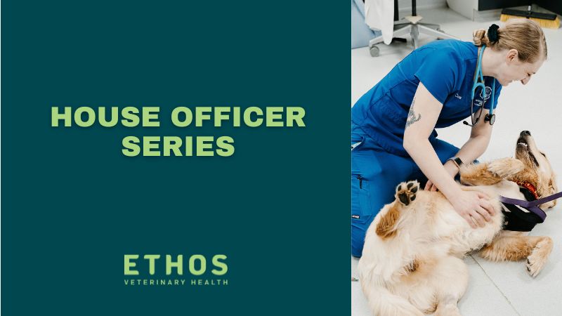 Careers Unleashed - Ethos Veterinary Health