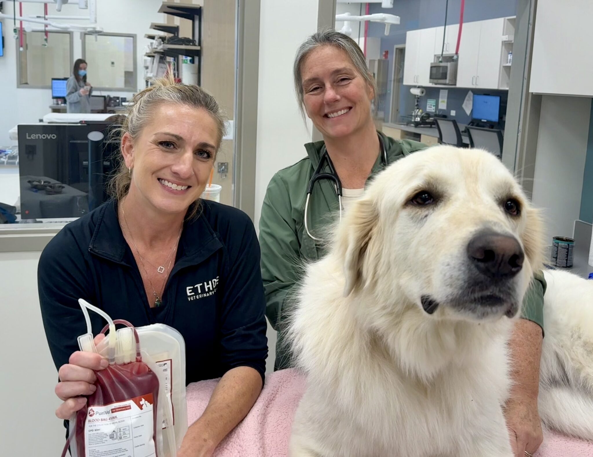 Blood Donor Awareness Month: Behind the Scenes of Saving Lives - Ethos ...