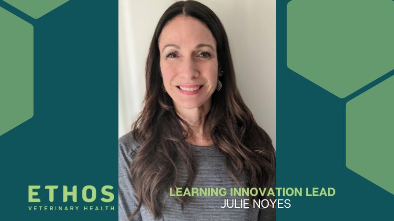 Welcome to The Team: Julie Noyes Named Learning Innovation Lead - Ethos ...