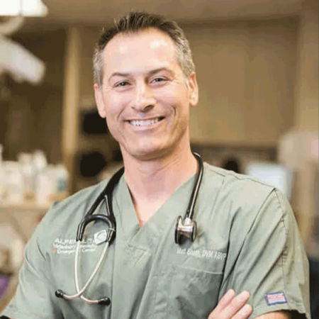 Meet the veterinary team at Ethos Veterinary Health