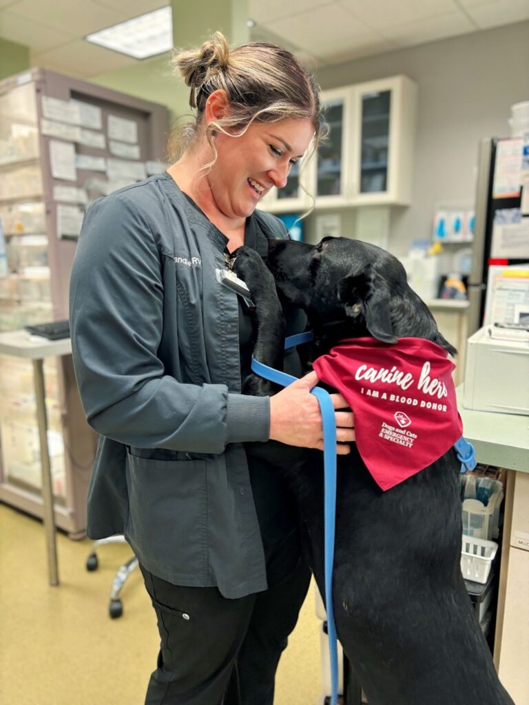 Why Ethos Is a Great Place to Thrive: The Power of Our Employee ...