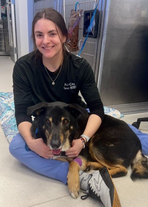 Celebrating Ethos 2025 Veterinary Assistant Champions - Ethos ...