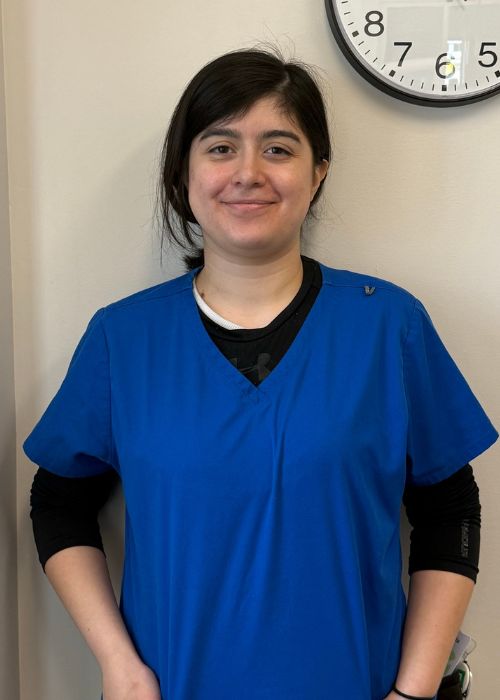 Celebrating Ethos 2025 Veterinary Assistant Champions - Ethos ...