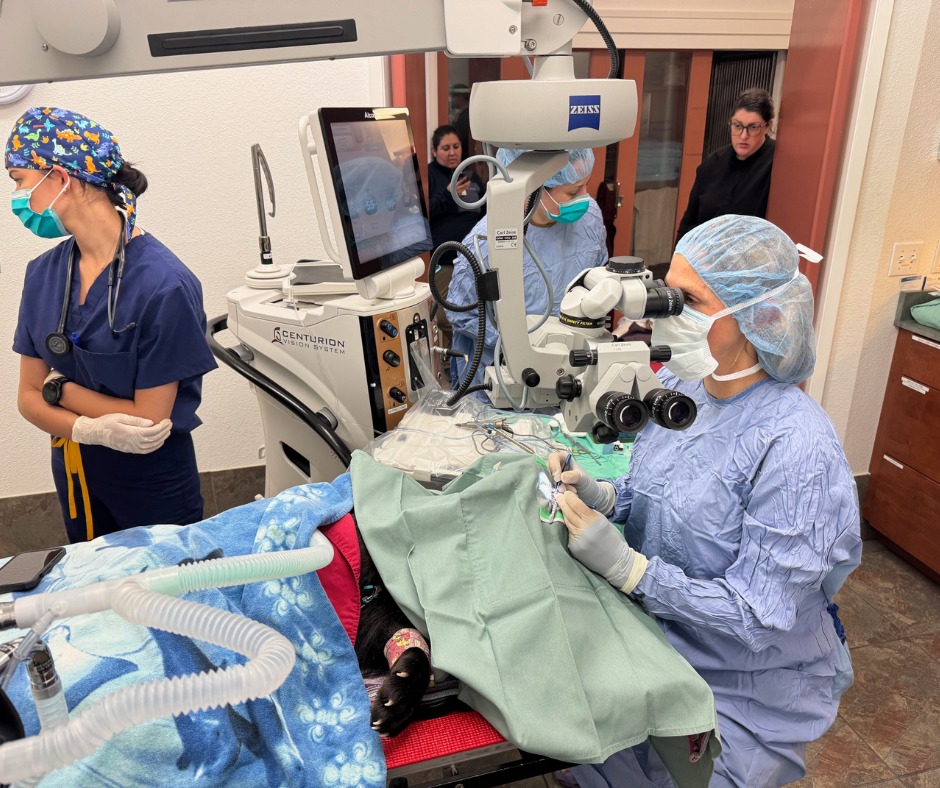 Ethos Clinicians Help Pioneer Vision-Restoring Surgery for a Rare ...