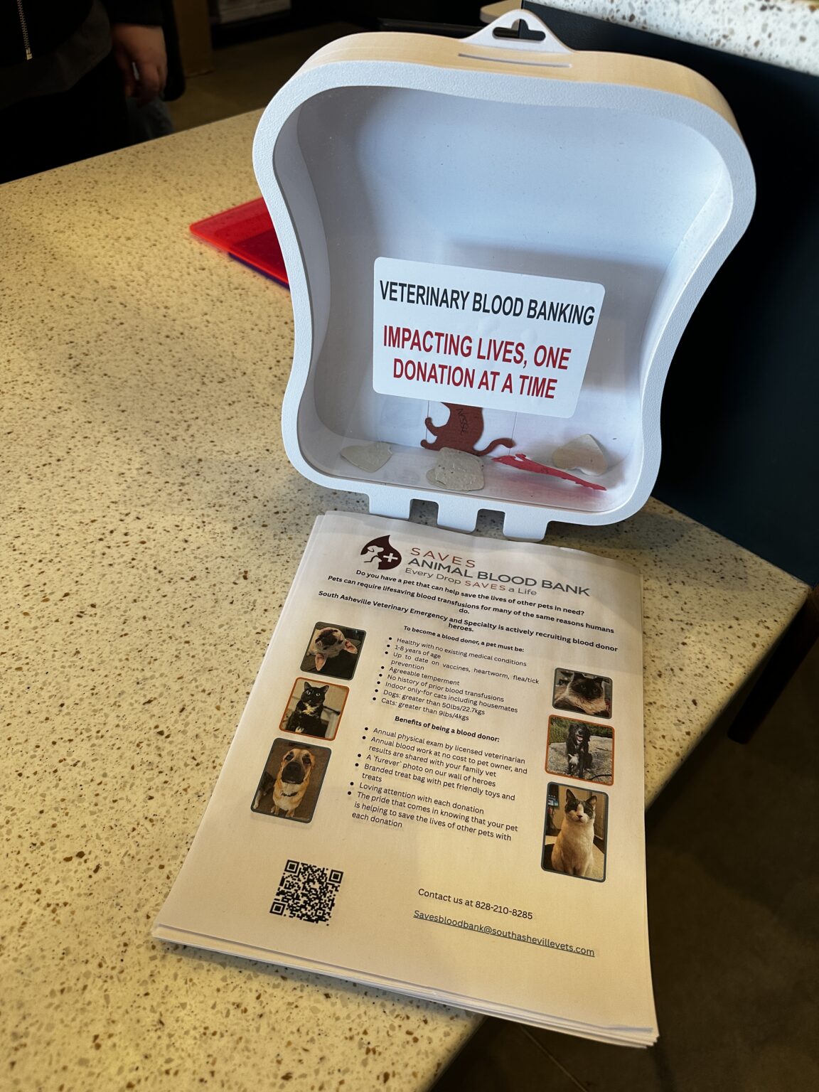 Inside the SAVES Blood Donor Program - Ethos Veterinary Health